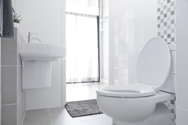 How Long Does It Take To Plumb In a Toilet? (Fast & Easy Guide ...