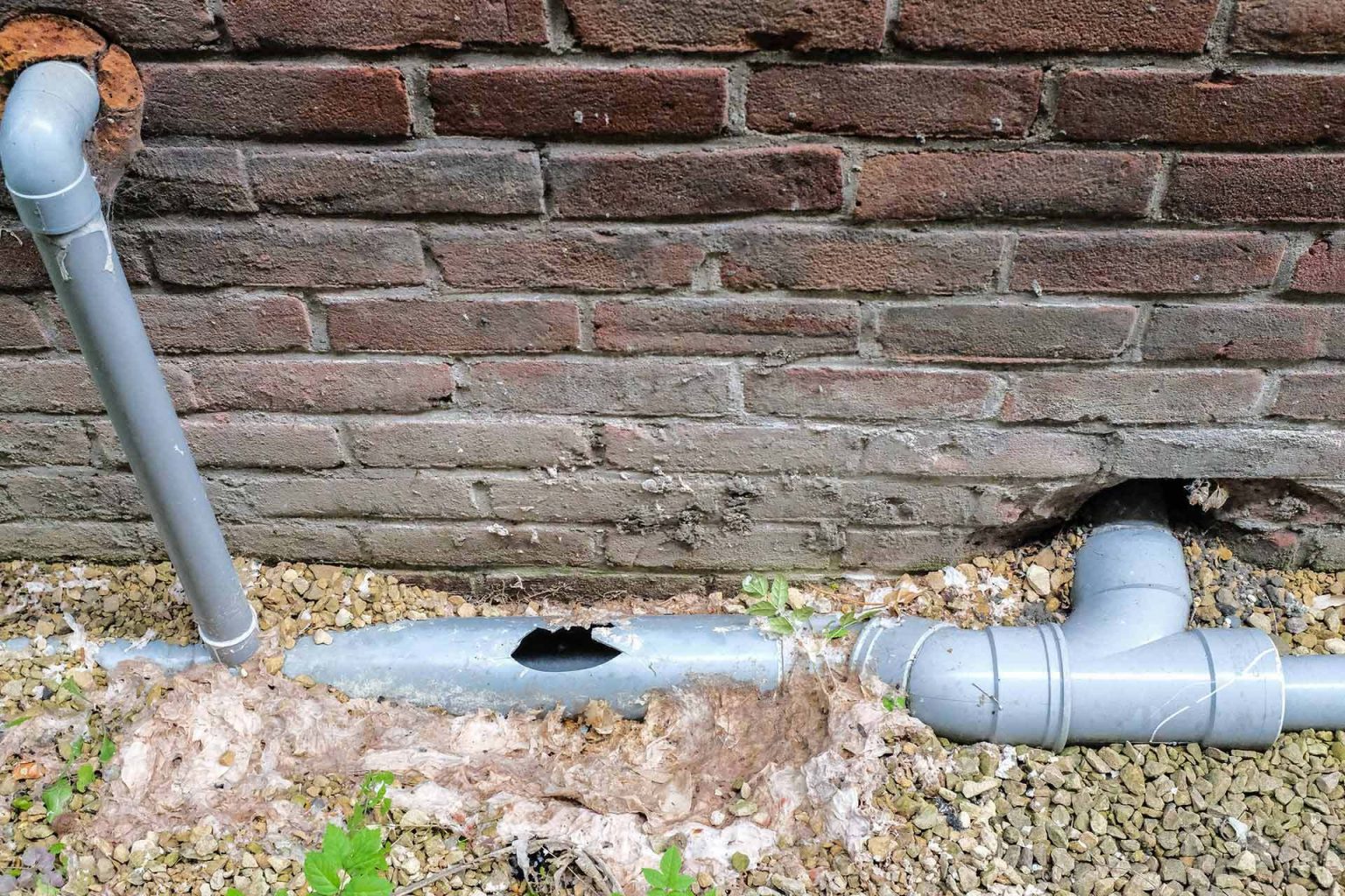 Main Drain Unblock Cost: 2026 Price Guide & Tips - Plumbing Tips Today